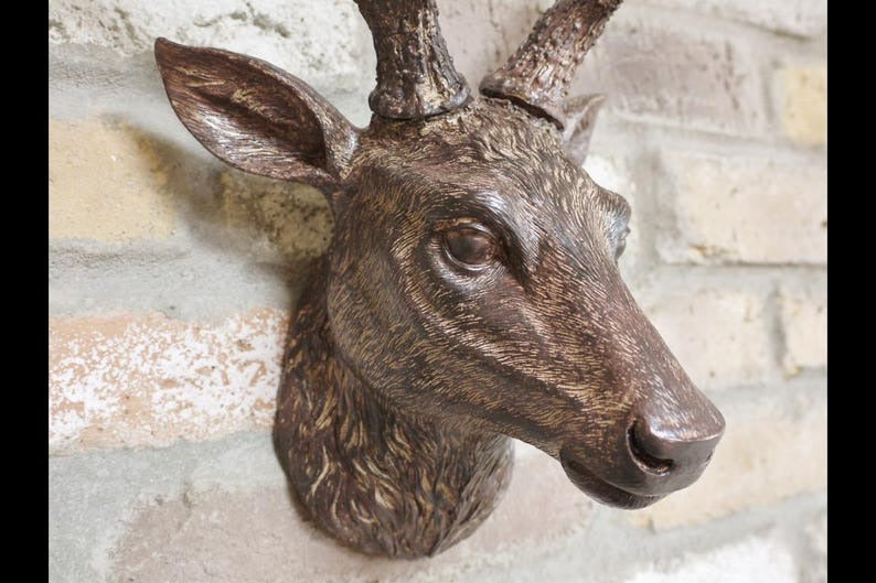 Large Stag Wall Mount | 59 Inch Wall Decor – Elevated Living Interiors